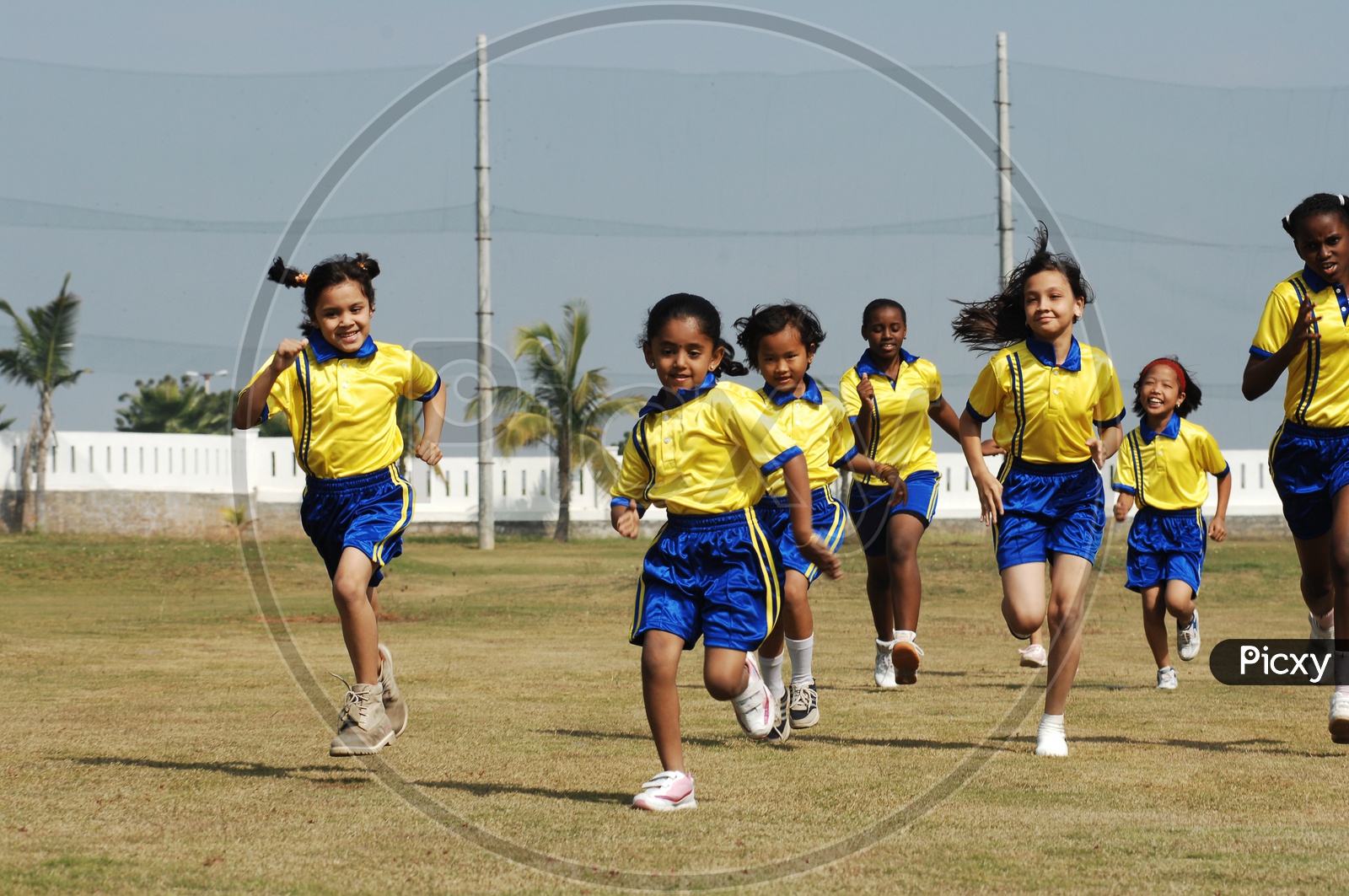 Image of Girl Children Participating In a Running Race-WZ525118-Picxy