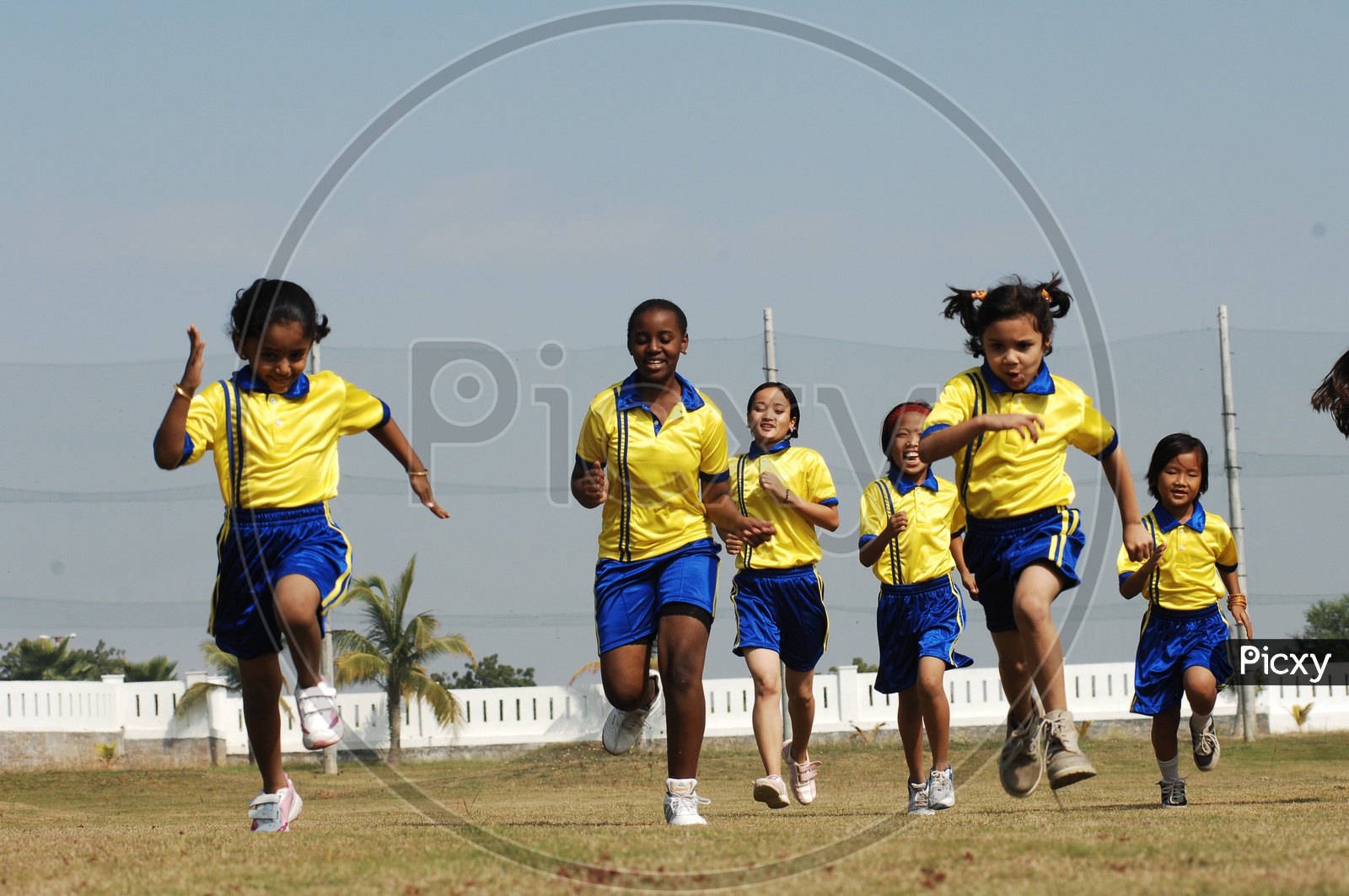 Image of Girl Children Participating In a Running Race-MP460257-Picxy