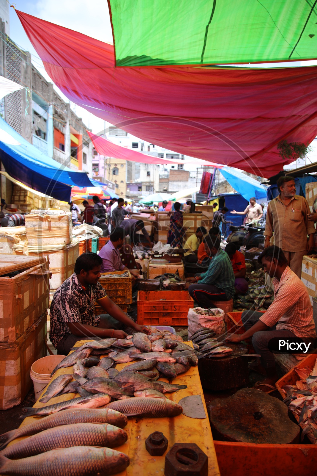 Image of Fish Market With vendor Stalls-UO233793-Picxy