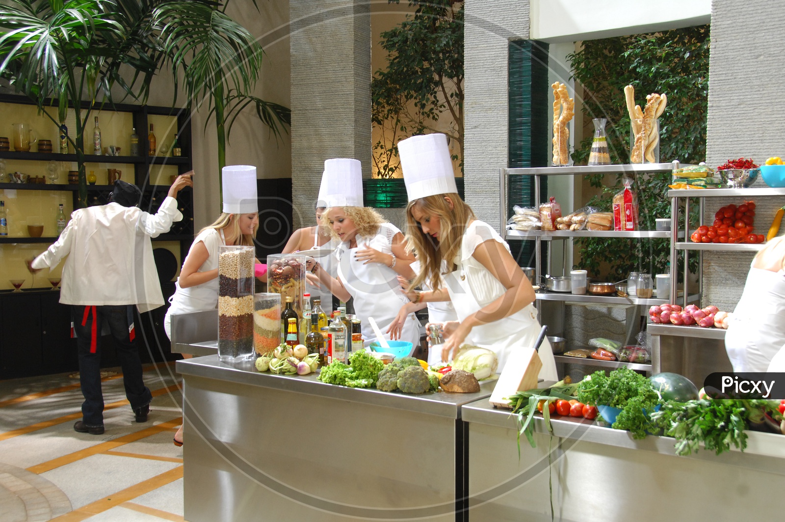 Image of Lady Chefs Woman Chefs Cooking in a Kitchen-VH126707-Picxy