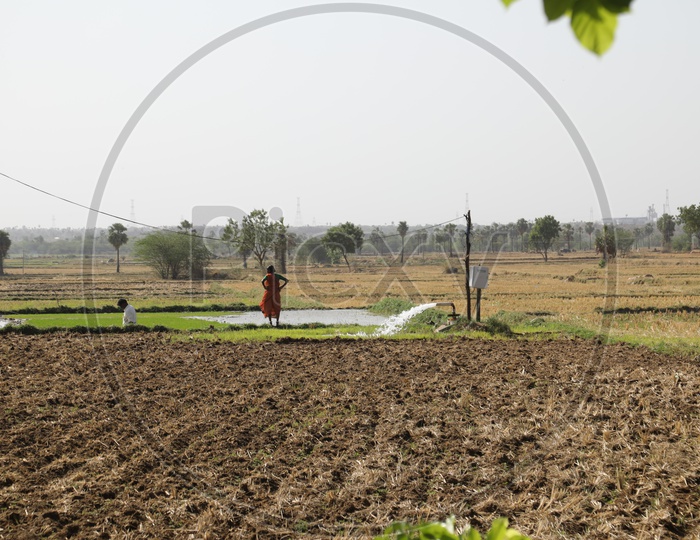 Image of Farmers Watering The Agricultural Lands or Farm Lands With ...