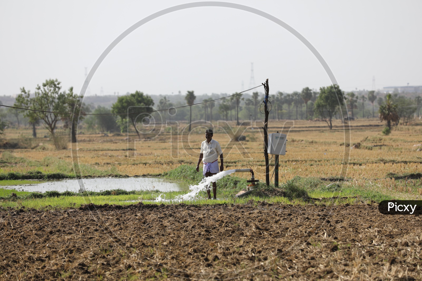 Image of Farmers Watering The Agricultural Lands or Farm Lands With ...