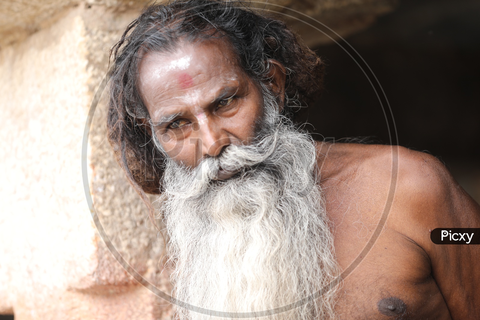 Image of Indian Hindu Baba Or Sadhu With Beard-IF796561-Picxy