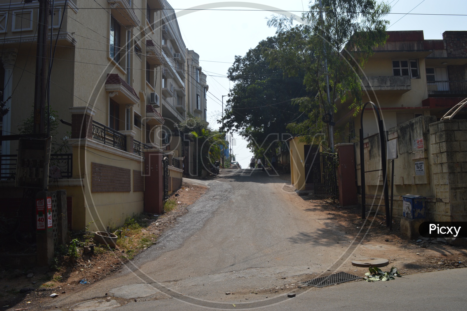 Image of Streets In Residential Area Colony-ZD472243-Picxy