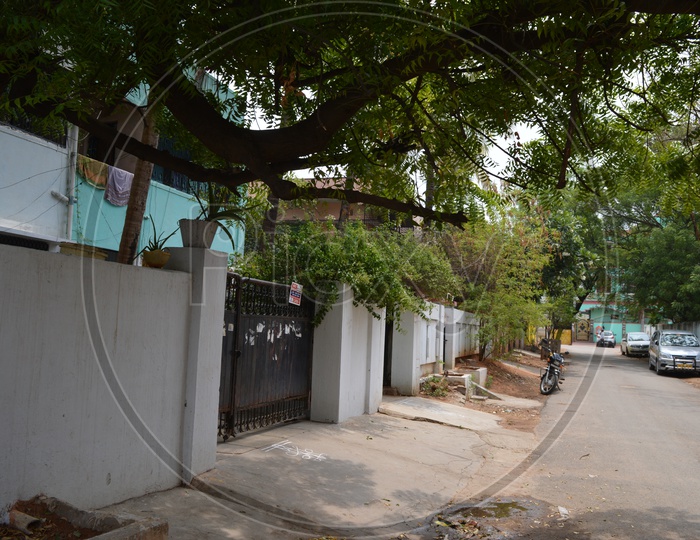 Image of Street With Houses in a Residential Colony-WH179606-Picxy