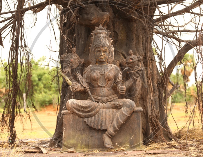 Image of Ancient Statue Of Hindu Goddess Under a Dried Tree-KM526688-Picxy