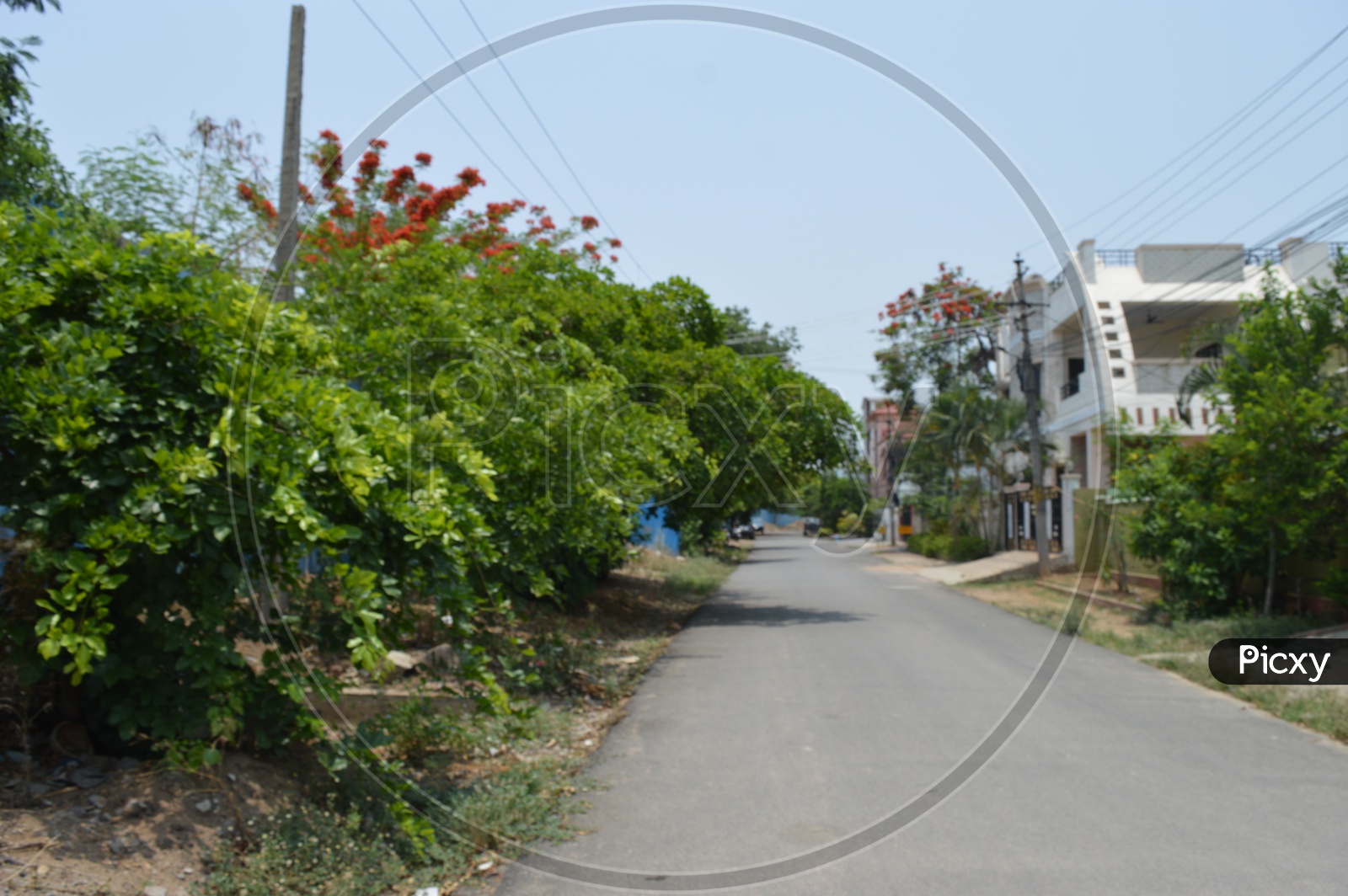 Image of A View Of Roads Or Streets In an Residential Area or Colony ...