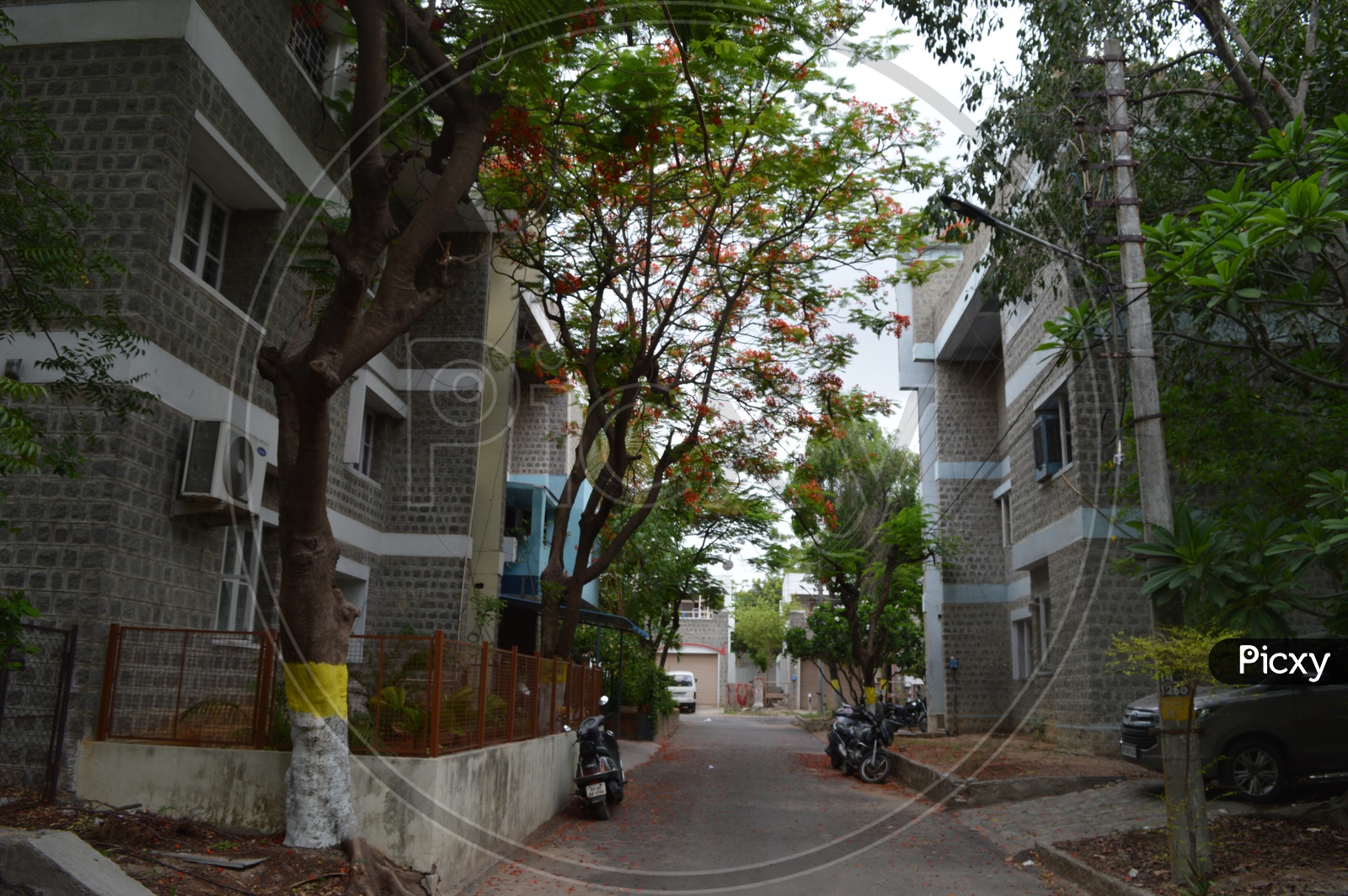 Image of Houses And Streets in a Residential Colony-UQ796214-Picxy