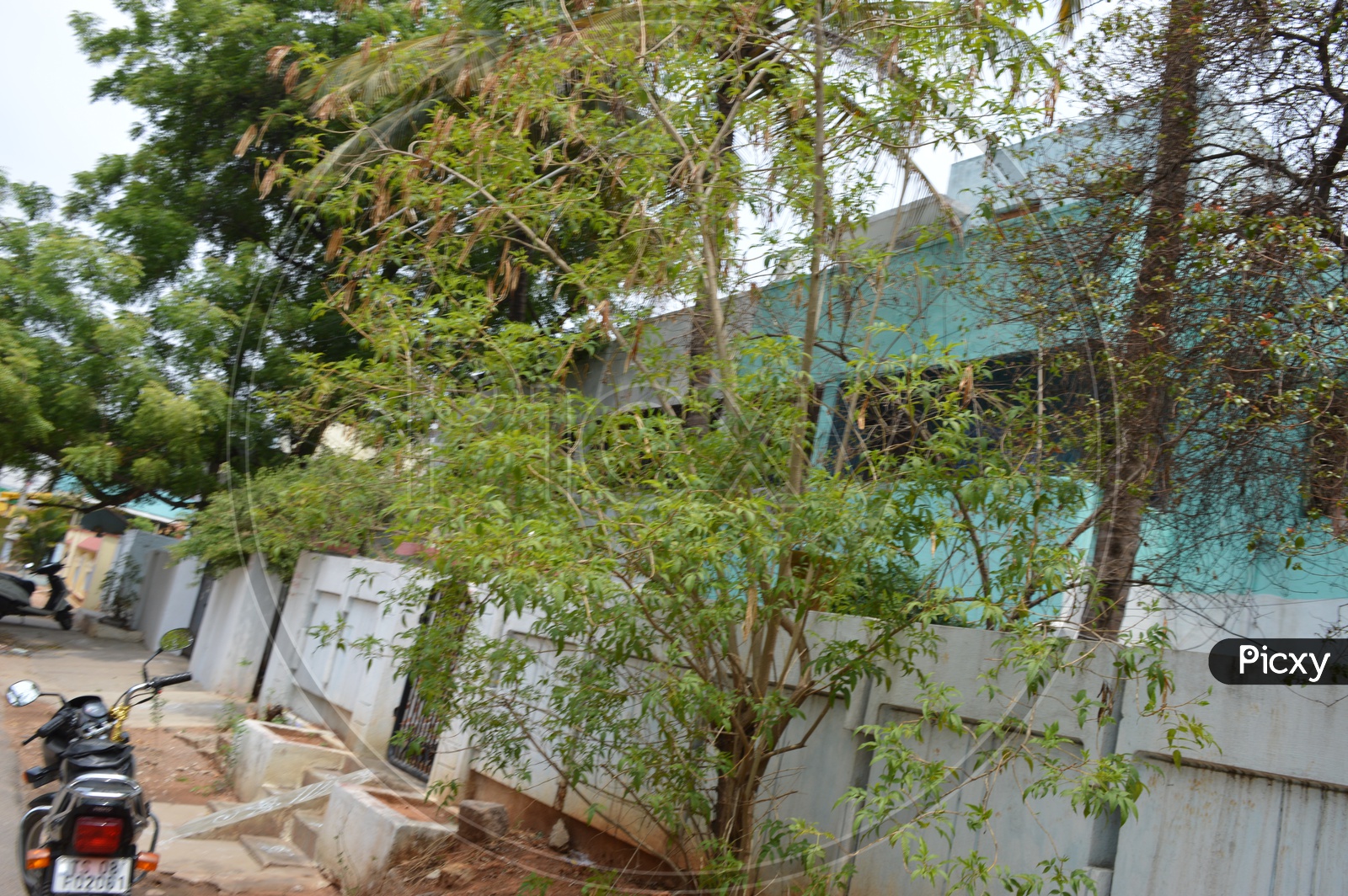 Image of Street With Houses in a Residential Colony-KE172910-Picxy