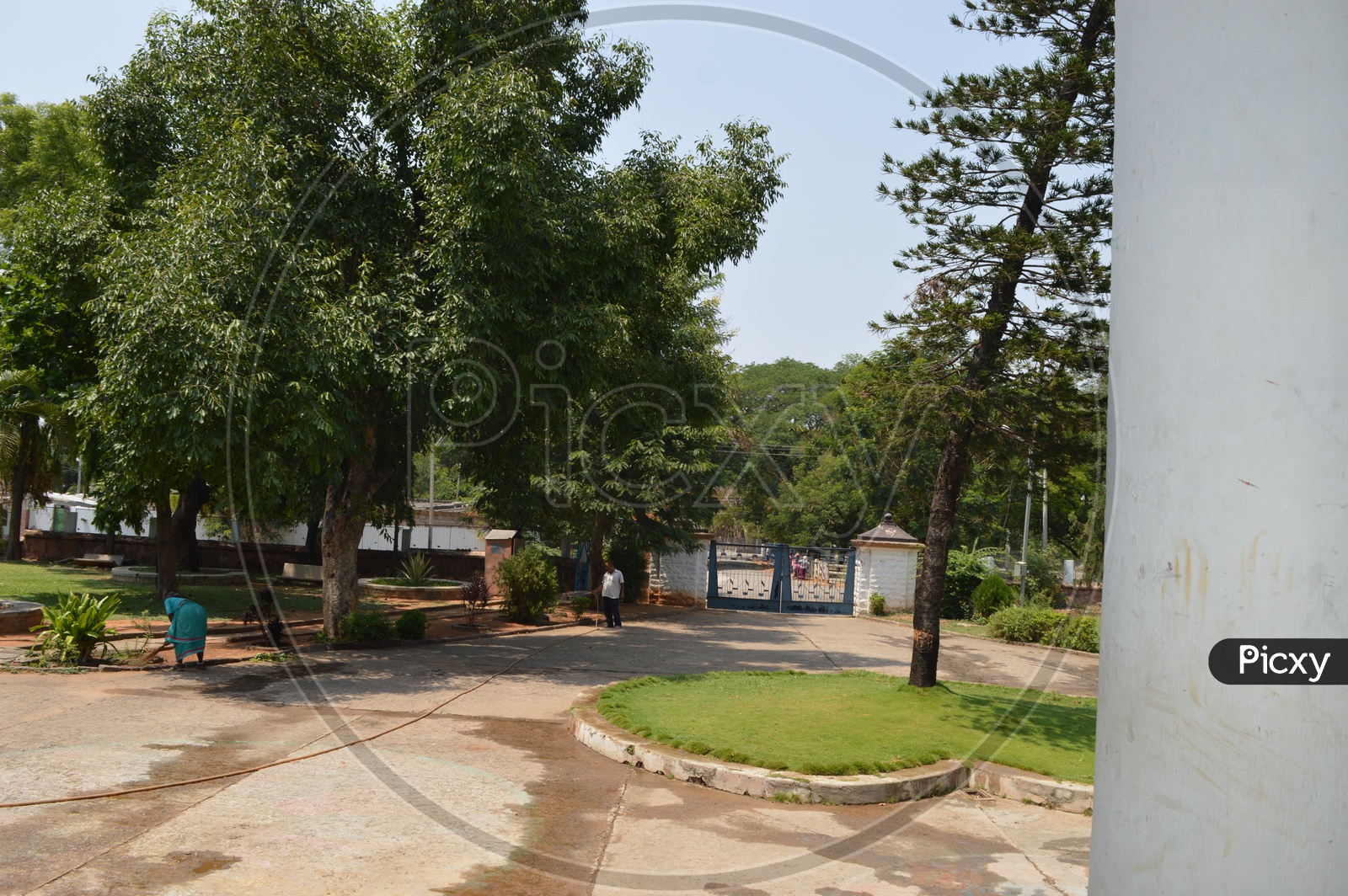 Image of Lawn Garden With Trees And Plants In a House Compound-TW827108 ...