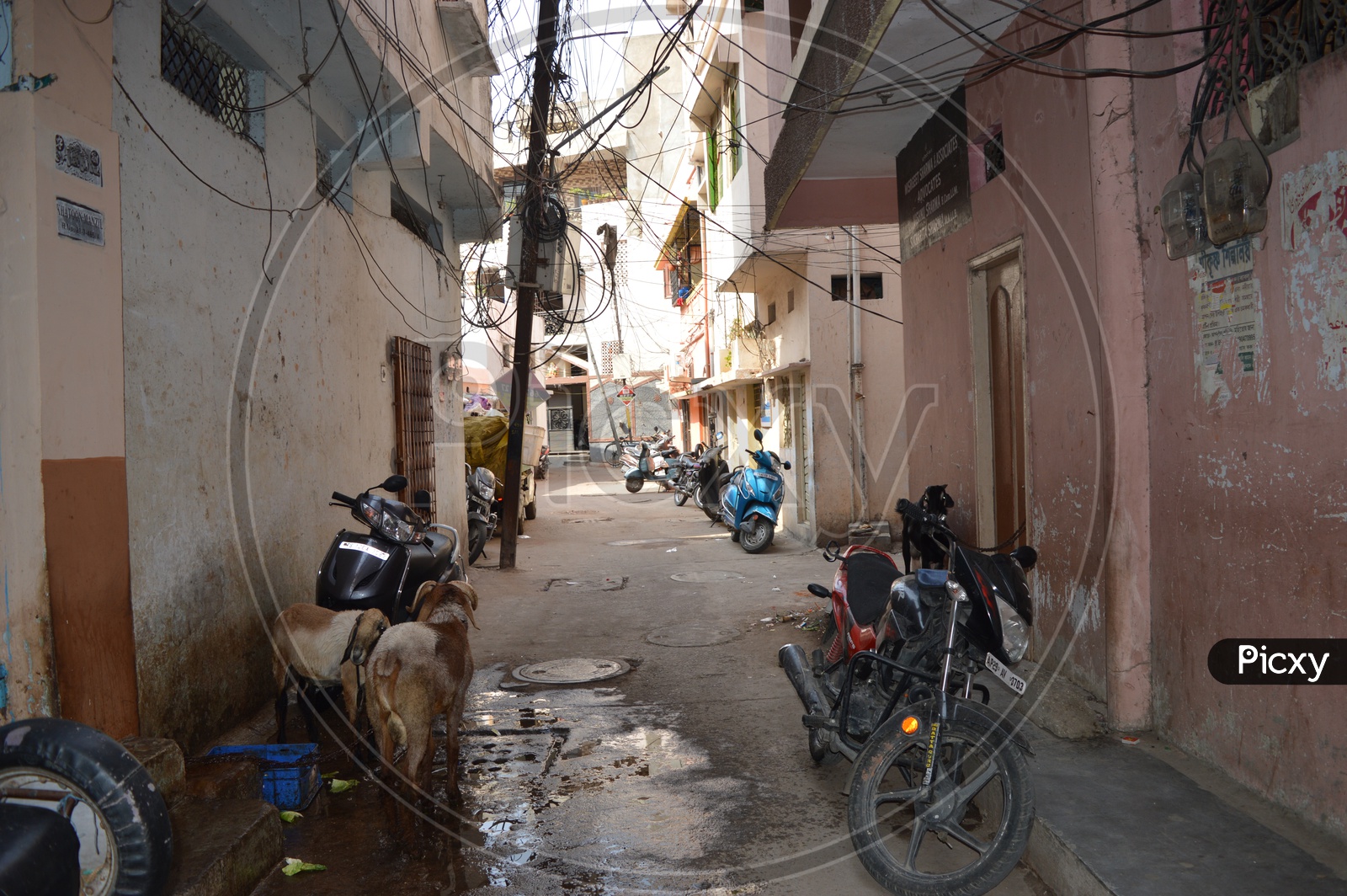 Image of Streets In a Residential Colony With Old Buildings-LB570138-Picxy