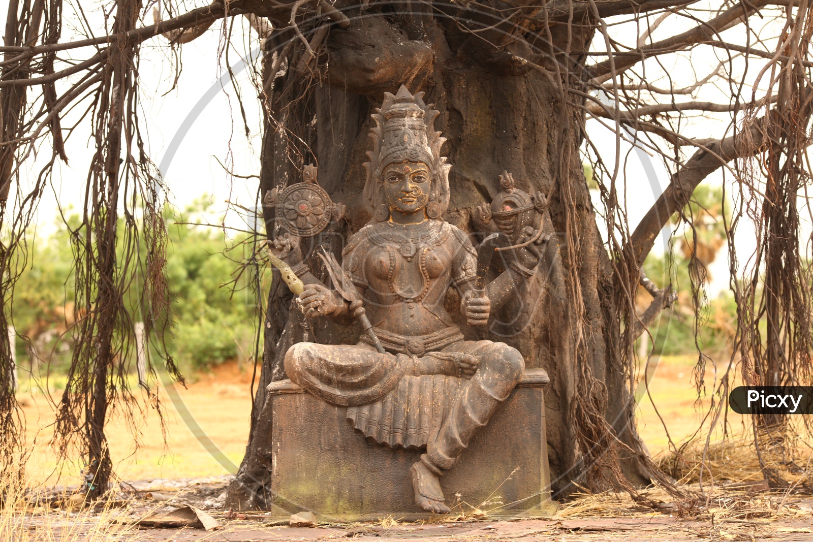 Hindu Goddess Statues Photography
