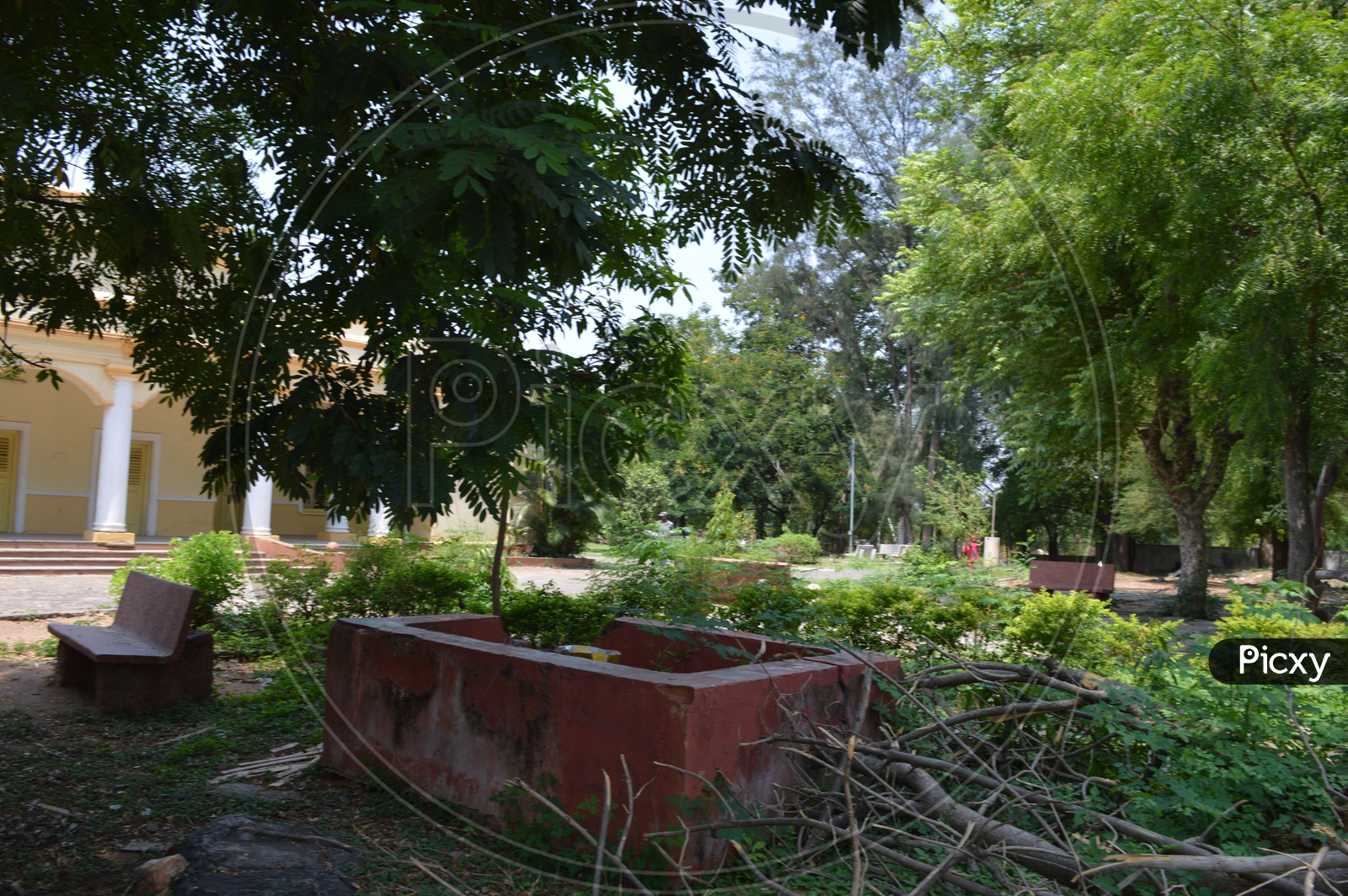 Image of Trees Growing On a House Compound-GW674254-Picxy