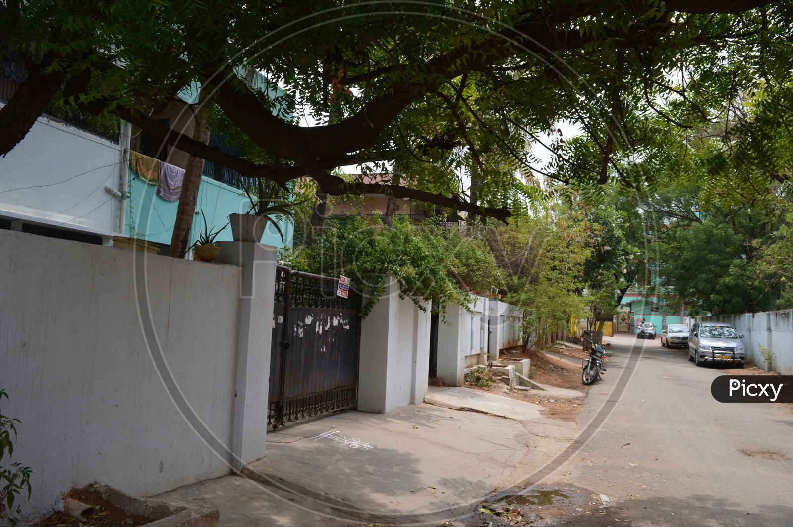 Image of Street With Houses in a Residential Colony-WH179606-Picxy