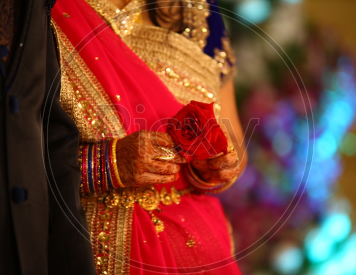 Image of Indian Bride holding a Rose-SH212193-Picxy