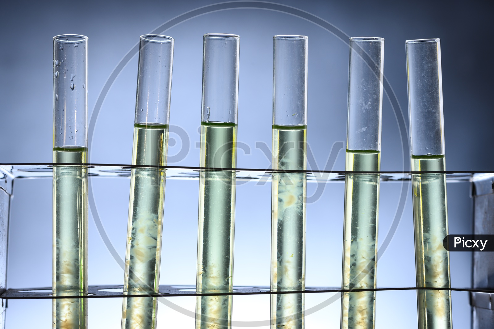 Image of algae biofuel tubes in biotech laboratory, Photobioreactor in ...