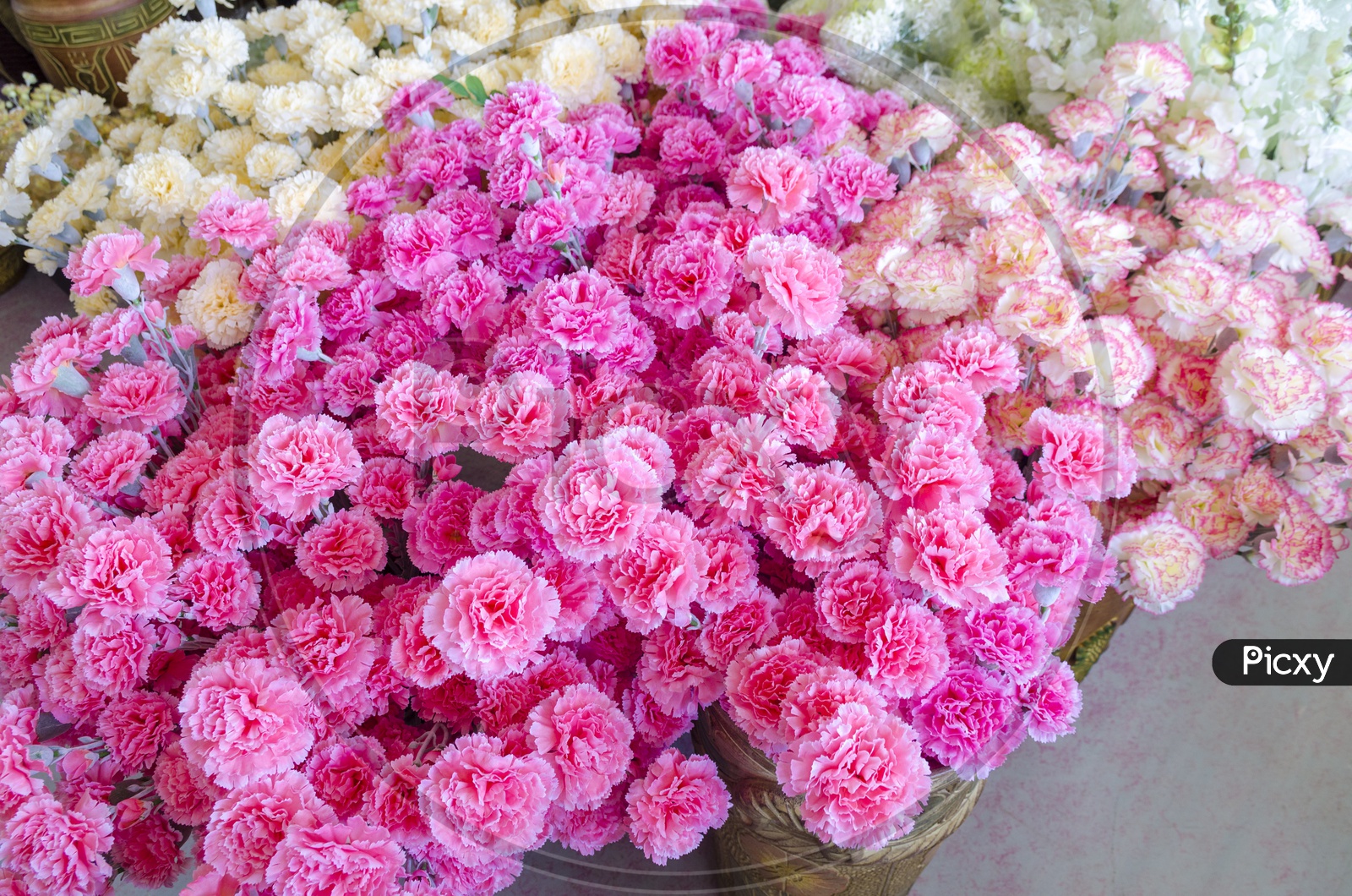 Image of abstract pink flowers background-GE053118-Picxy