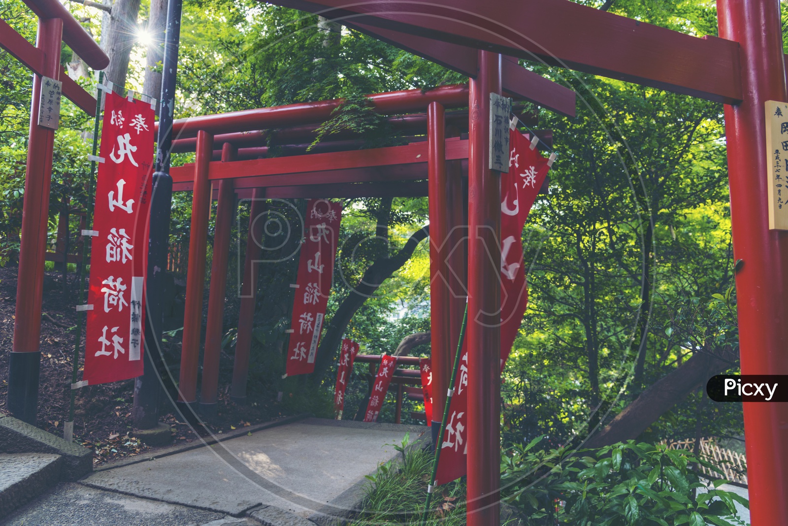 Image of Pathways In a japanese temple With Red Flags-PZ370124-Picxy