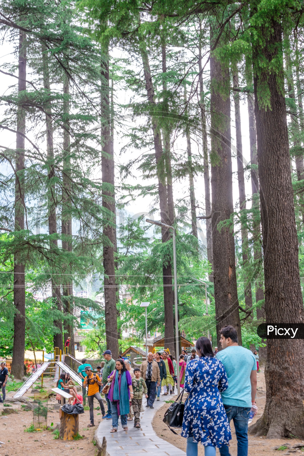 Image of Tourists Walking in Van Vihar National Park at Manali-MG962861 ...