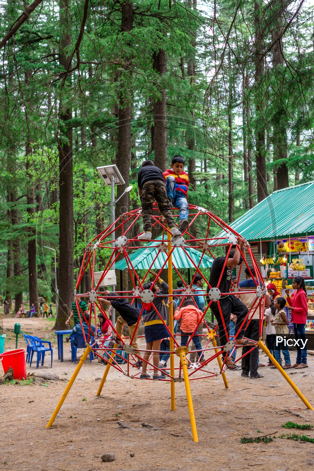 Image of Kids Playing in Van Vihar National Park at Manali-WS927549-Picxy