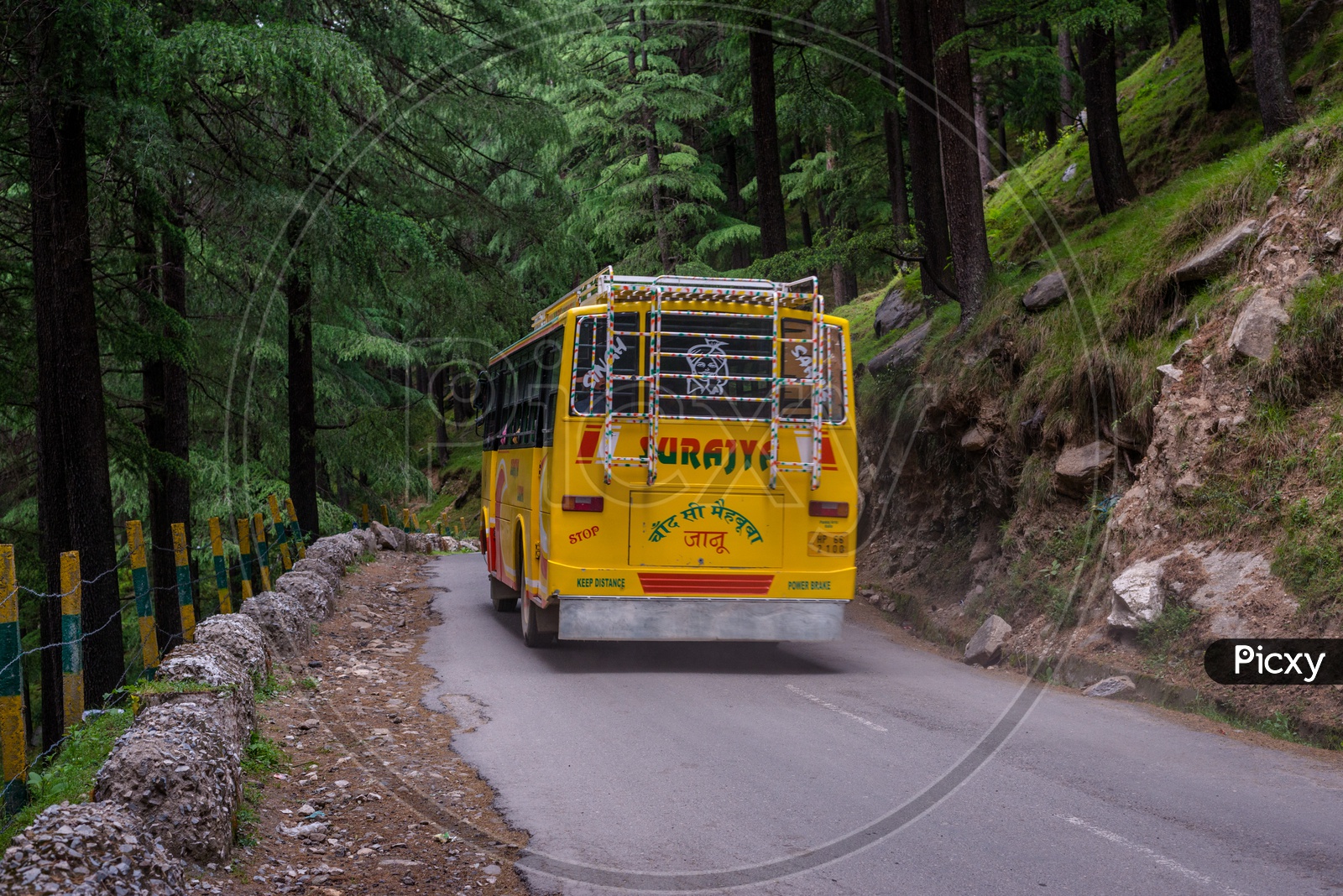 Image of A Travel bus moving along the roadway through the forest ...