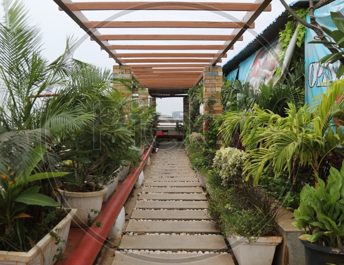 Image of A Pathway decorated with plant pots alongside-OU091520-Picxy