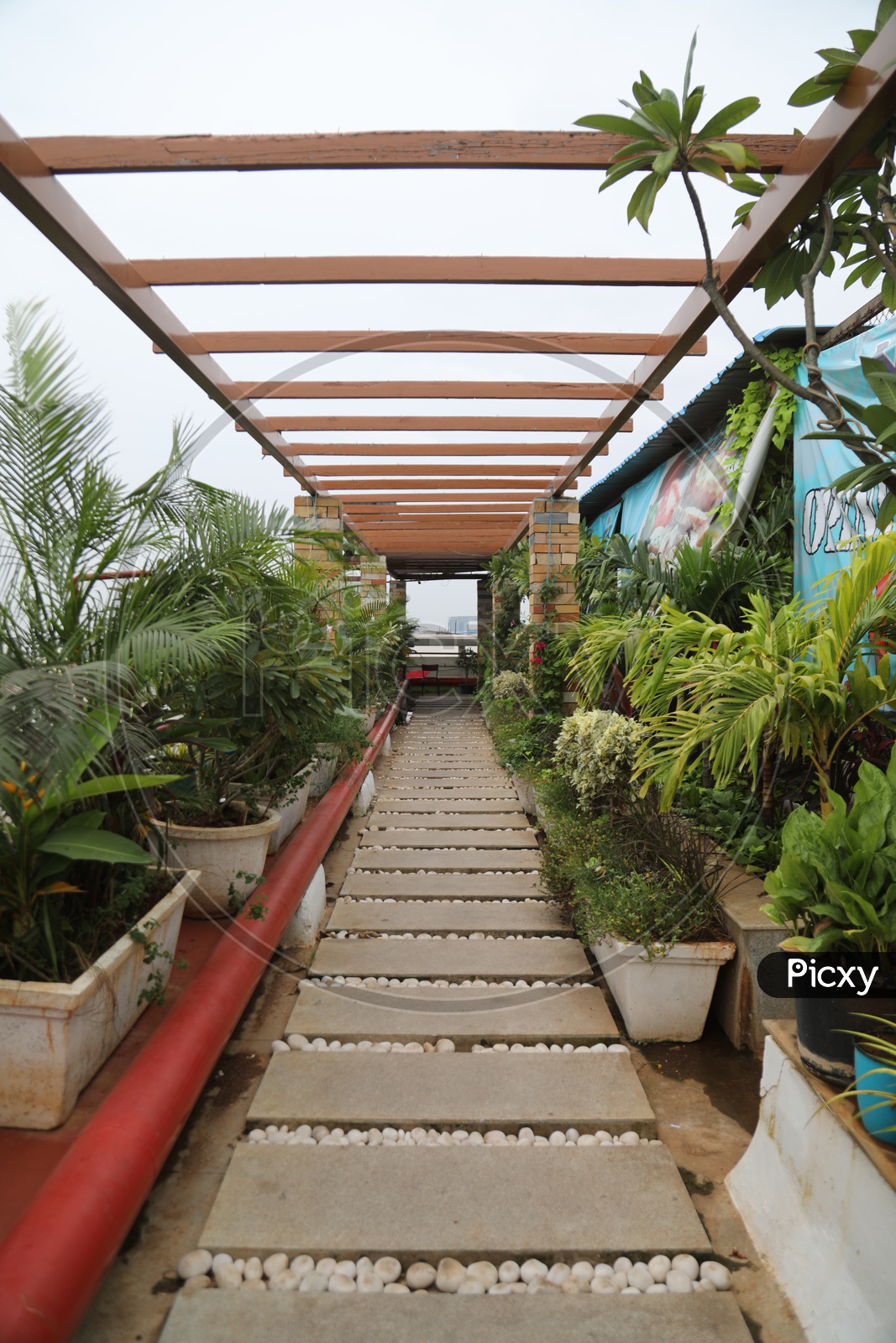 Image of A Pathway decorated with plant pots alongside-OU091520-Picxy