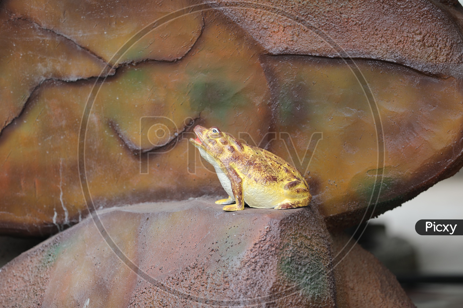Image of Frog Made Of Plaster Of Paris at a Park Fountain-DF707739-Picxy