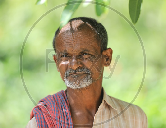 Image of An Old Man In an Rural Village House-PE445701-Picxy