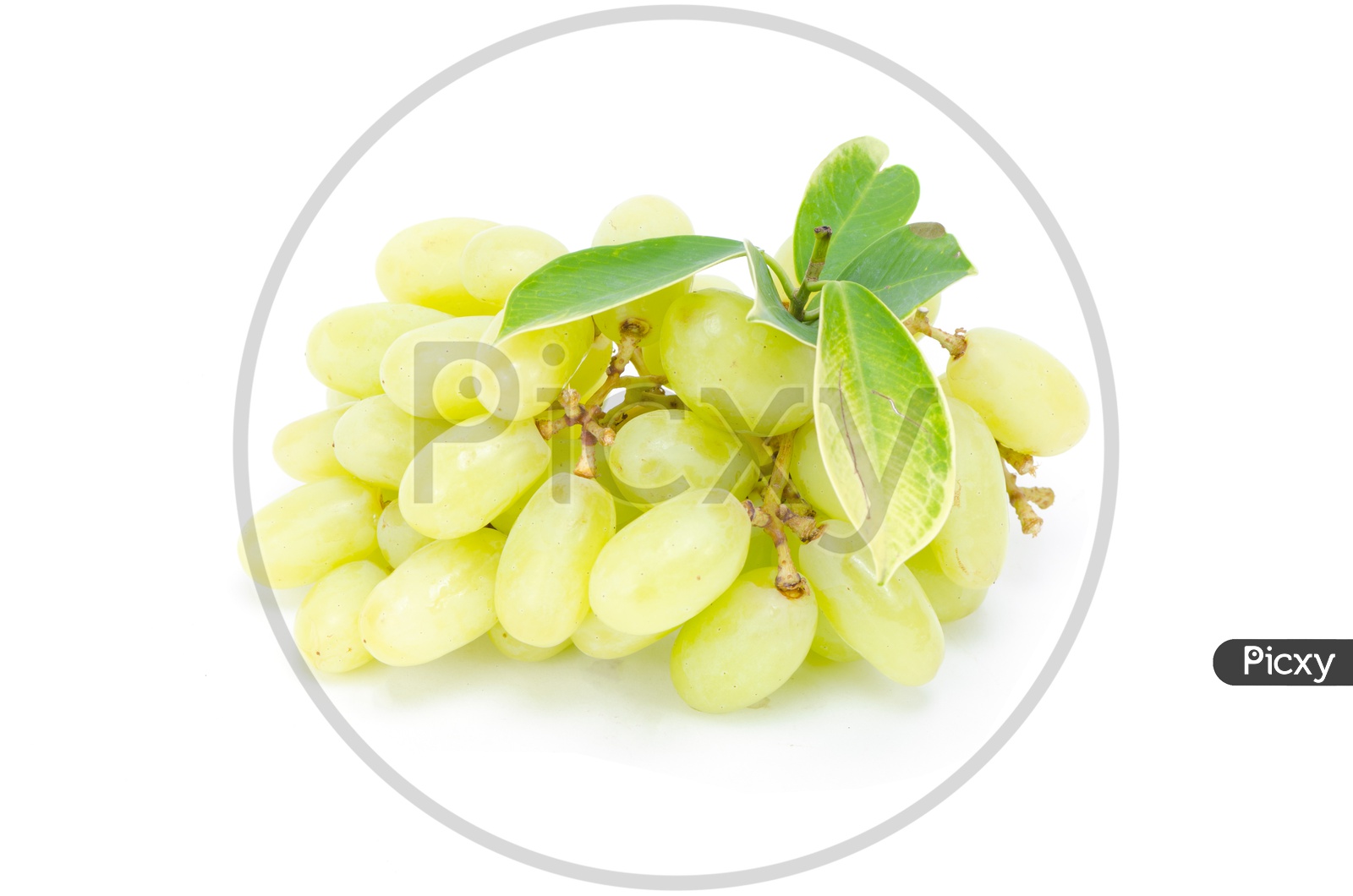 Image of Green Seedless grapes isolated on the white background ...