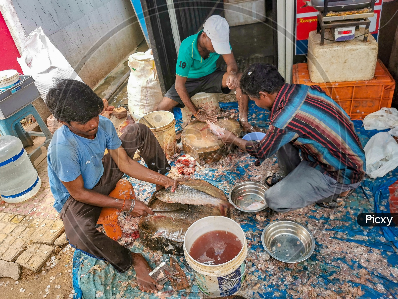 Image of Butcher Cleaning and Chopping Fish At a Market-OG797361-Picxy