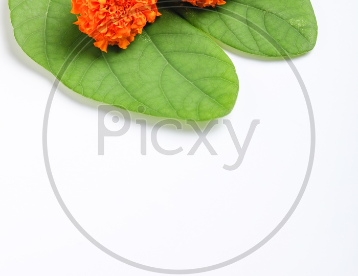 Image of Dussehra Festival Representation With Bauhinia Leafs and ...