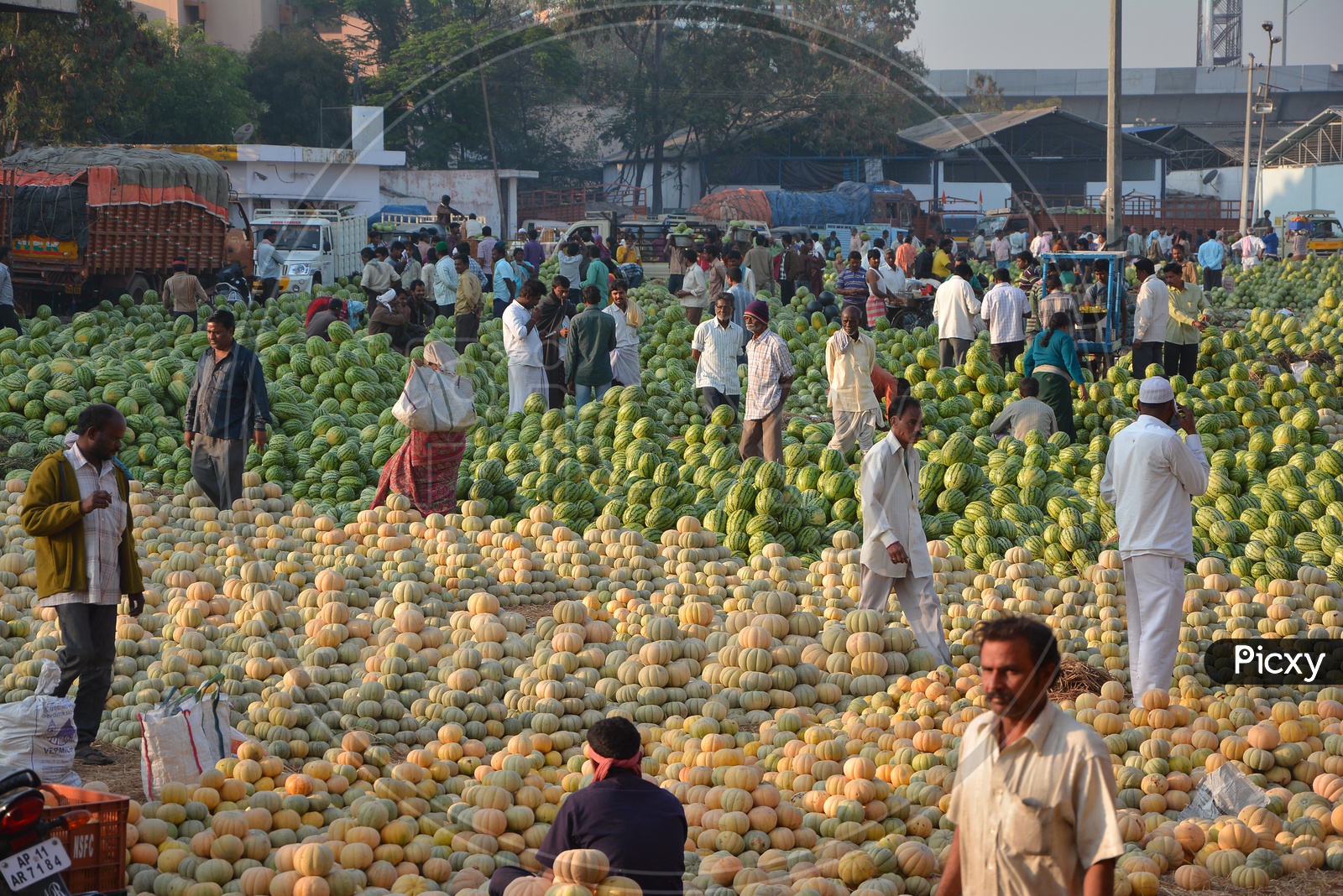 Image of Fruit Market With Piles Of Watermelons and Muskmelons in ...