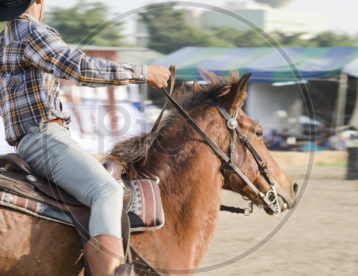 Image of An Old Man Riding Horse On Streets-SG432441-Picxy