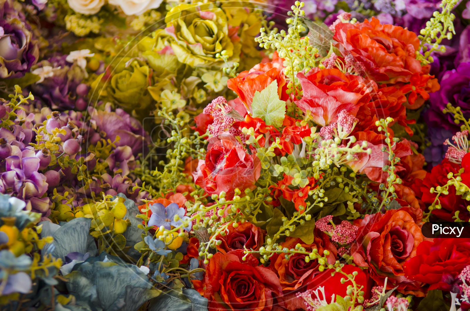 Image of Flowers Filled Background-LY609798-Picxy