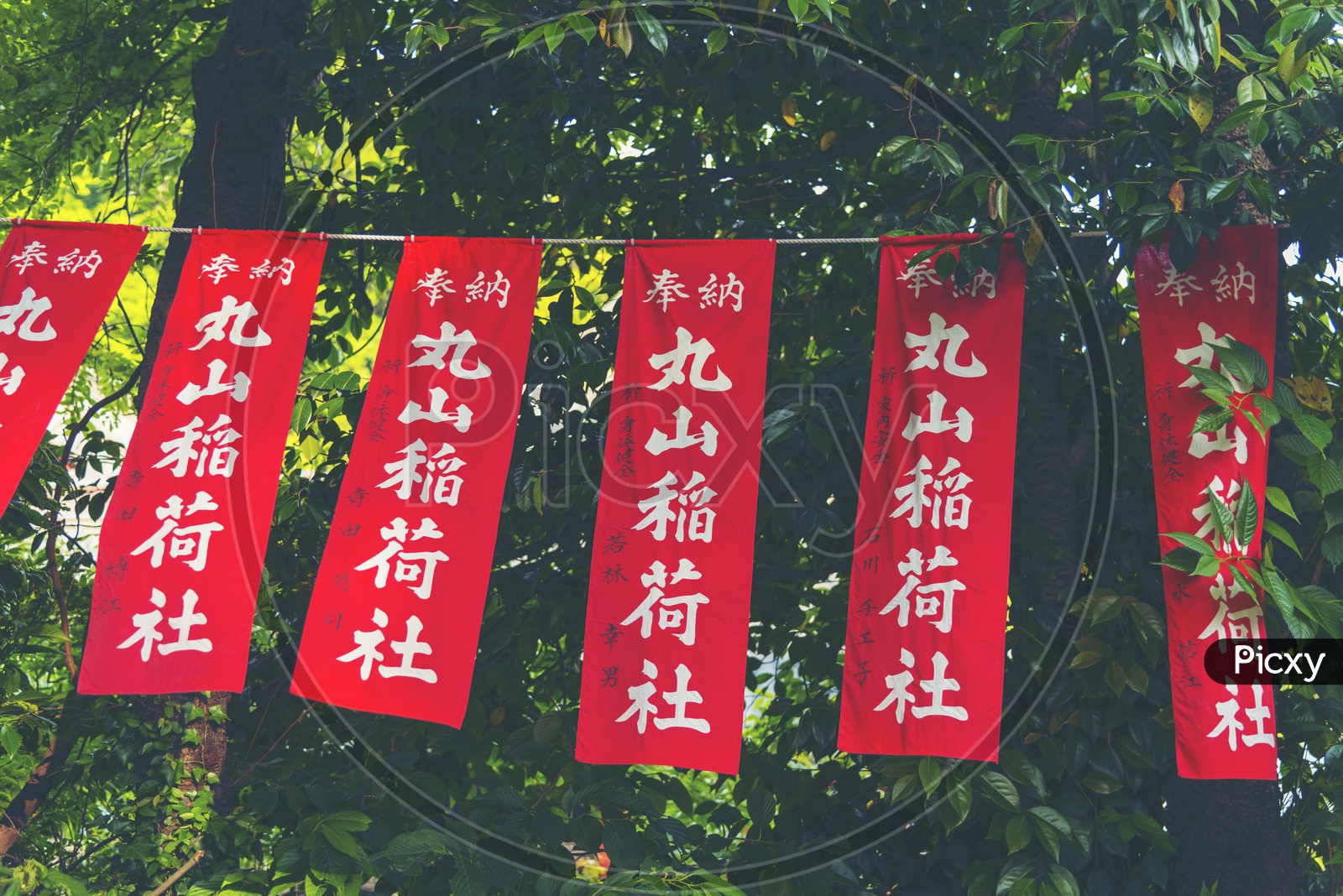 Image of Flags In Japanese Temple-SL432558-Picxy