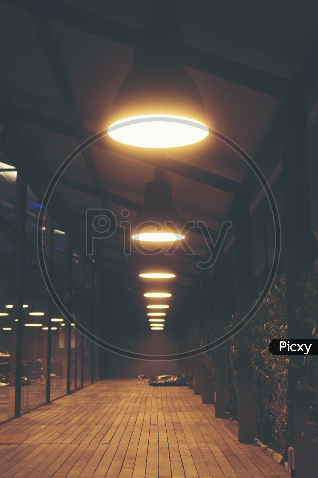 Image of Cafe Corridor With Wooden Walls And Interior Lights-RO032994-Picxy