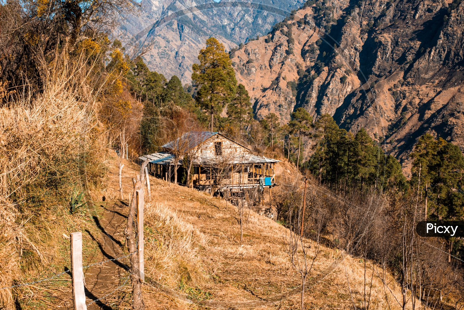 Image of Typical wooden alpine house in himachal in himalayas-OF594650 ...