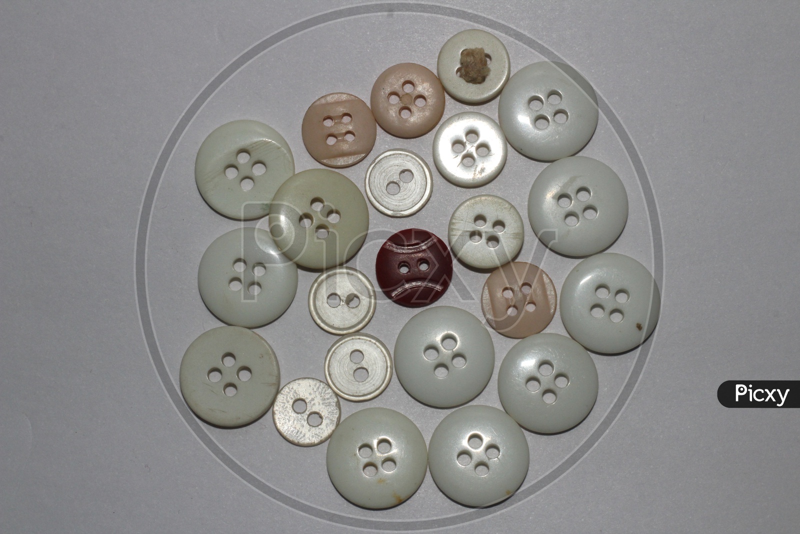 Image of Garment Plastic Buttons on an Isolated White Background ...