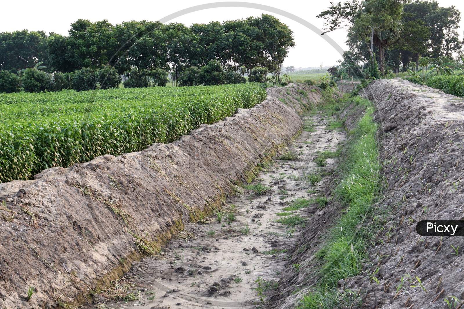 Waterway Channels Earth Canal View On Field