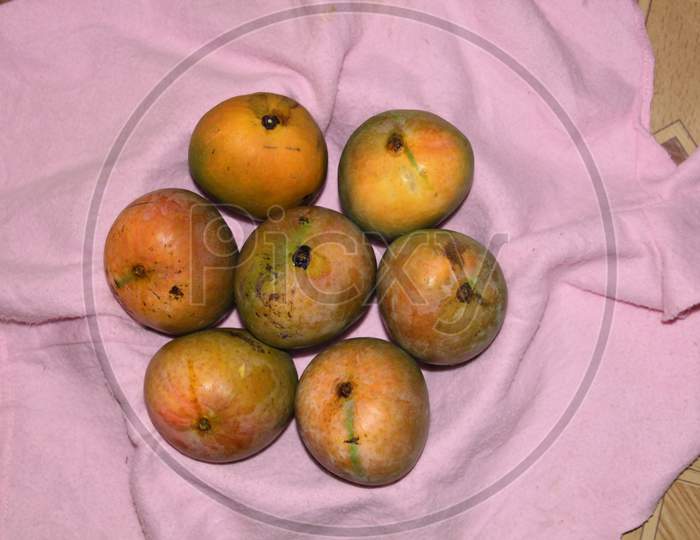 Image of Mango-QJ937979-Picxy