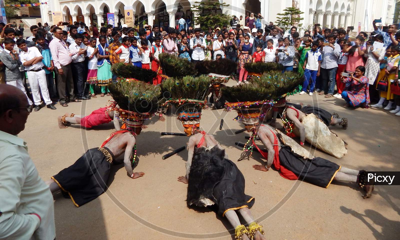 Image of Indian Tribal People Perform Gussadi Or Gondu Dance-KX780300-Picxy