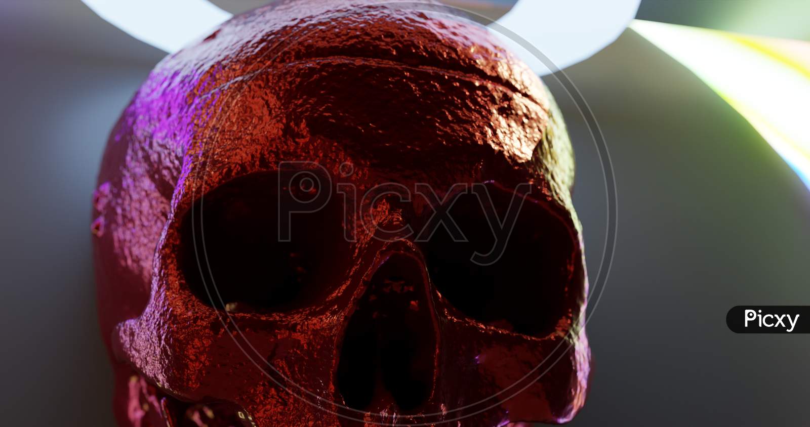 Image of CGI SKULL-XP504722-Picxy