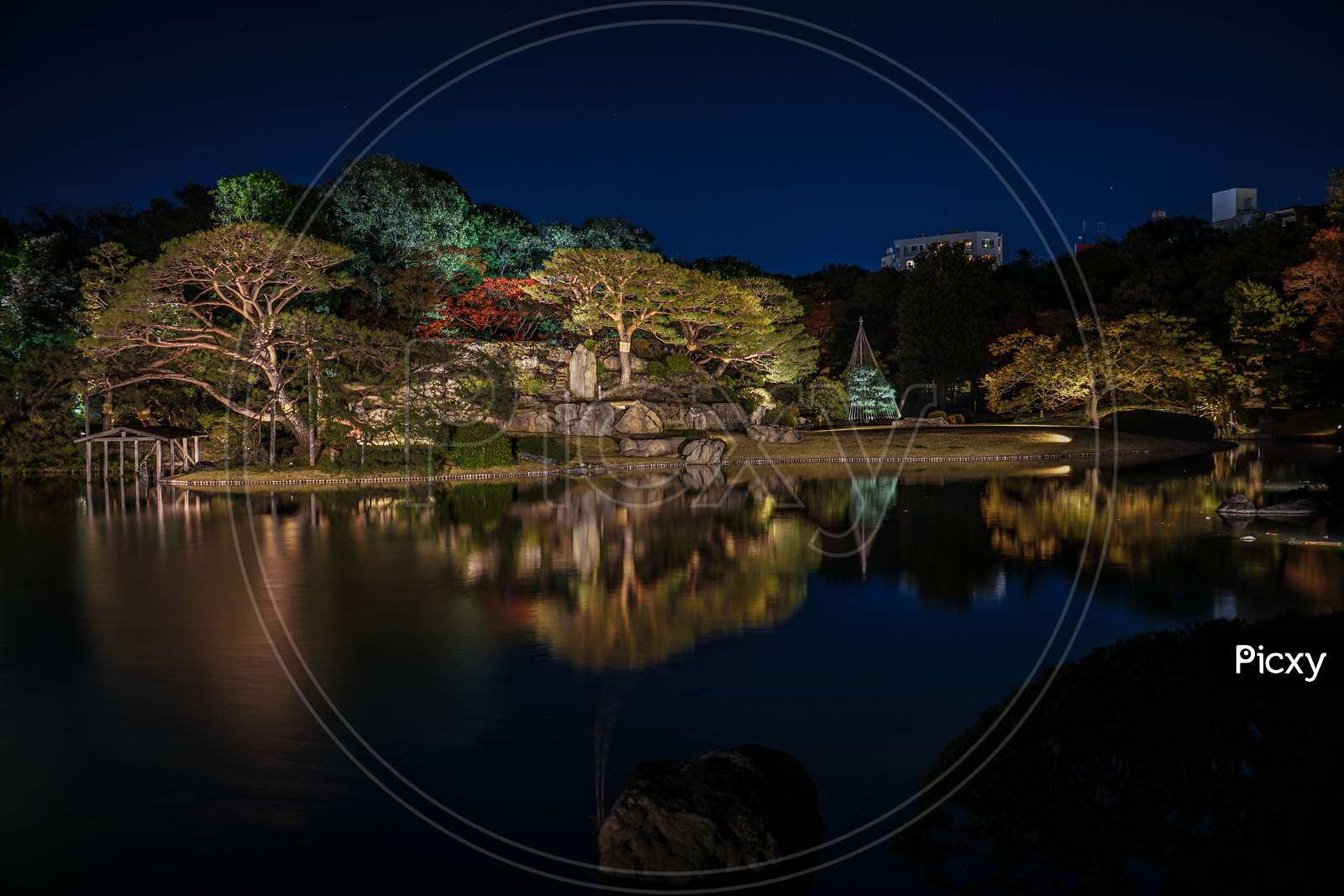Image of Daimyo Garden (Autumn Leaves)-MZ103397-Picxy