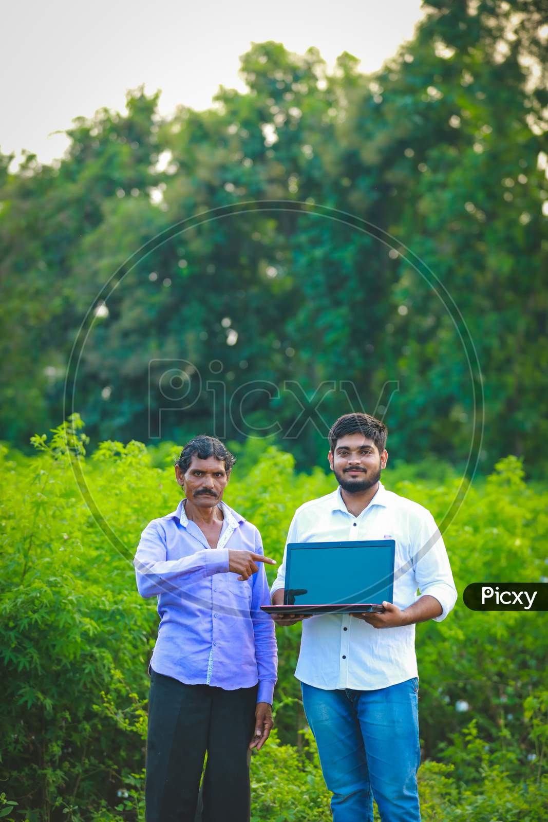 Image of young farmer with laptop standing in a field examining cotton ...