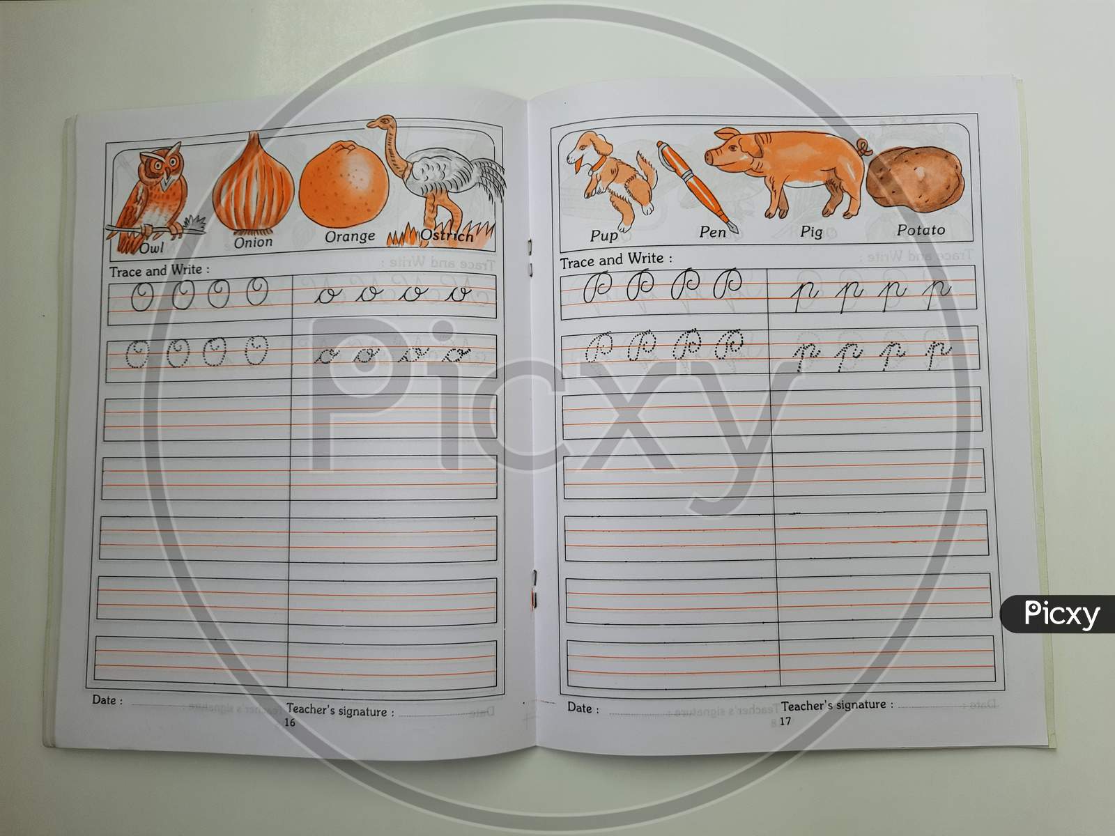 Image of Closeup Of English And Kannada Copy Book, Cursive Writing ...