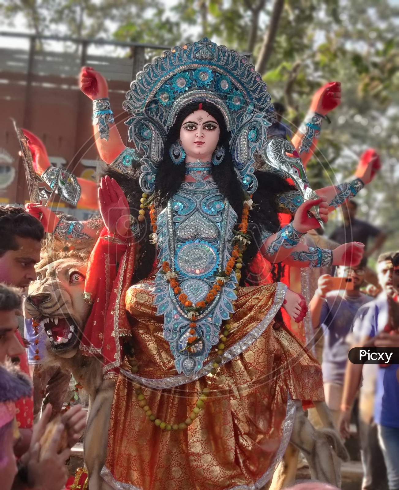 Image of Maaa-NY790487-Picxy