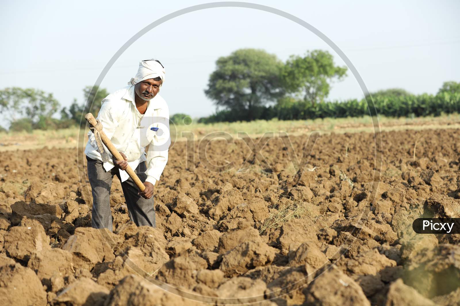 Image of Indian farmer working in farm-IC888793-Picxy
