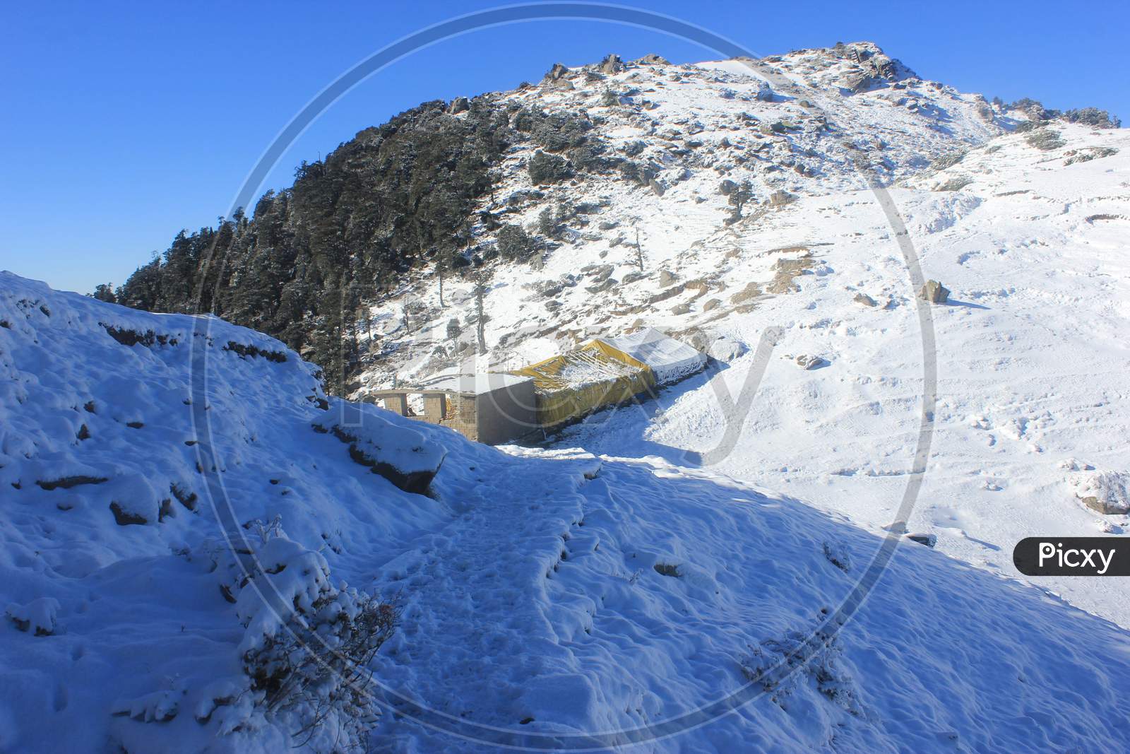 Image of churdhar peak-KS927533-Picxy