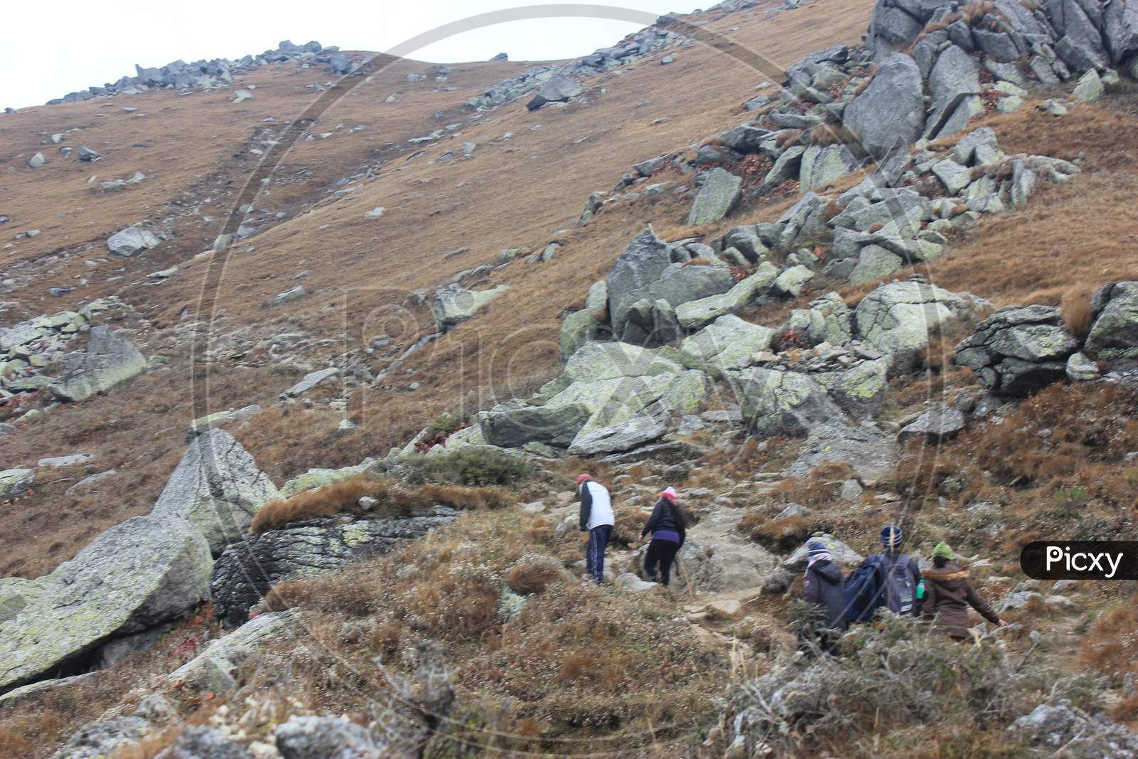 Image of churdhar peak-MY892701-Picxy